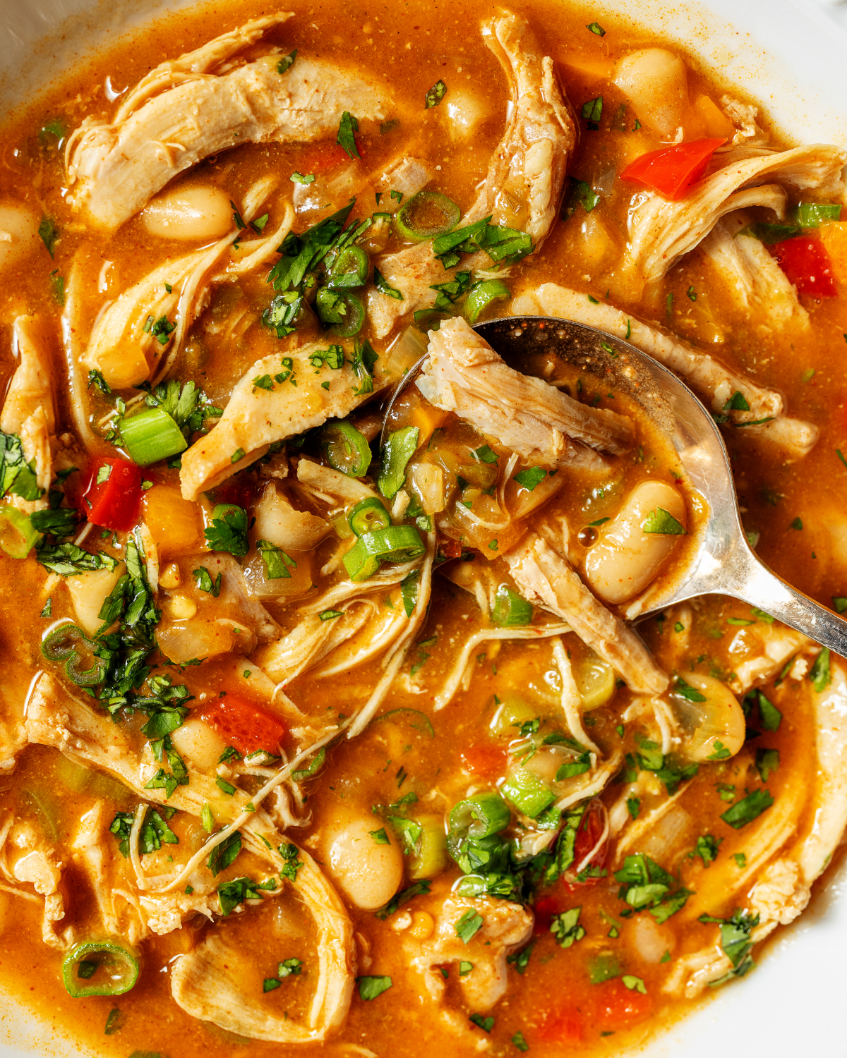 Chicken and White Bean Chili | Tried and True Recipes