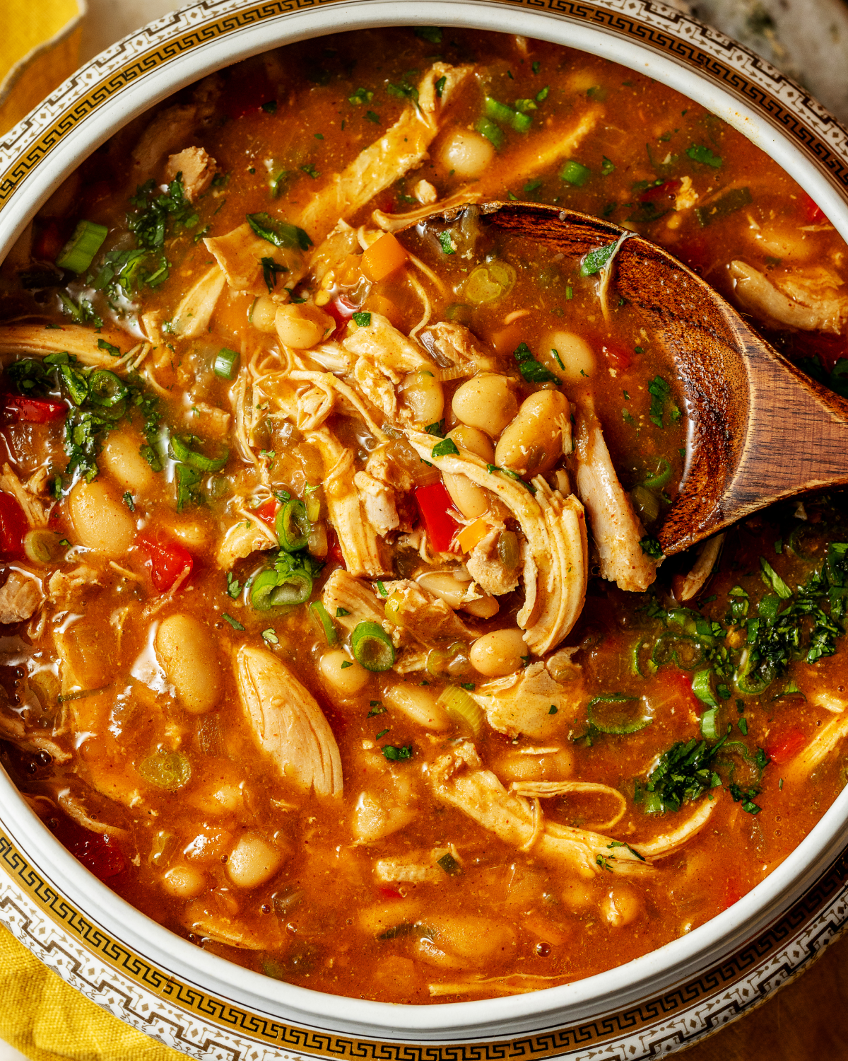 Chicken and White Bean Chili | Tried and True Recipes